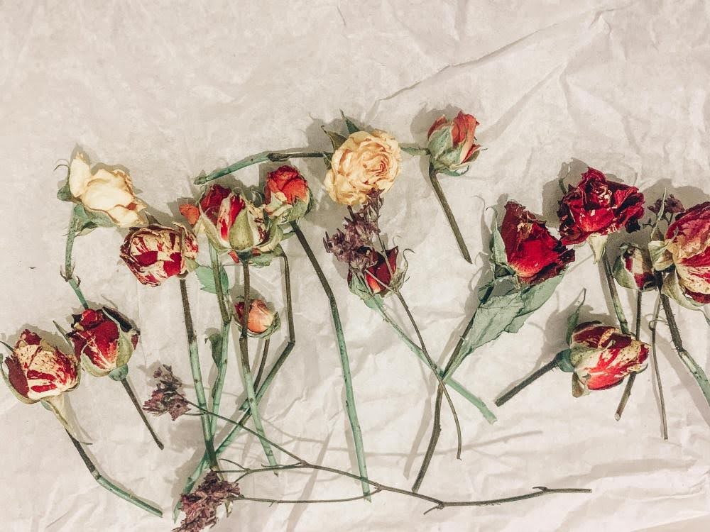 Preservation Cut Flowers
