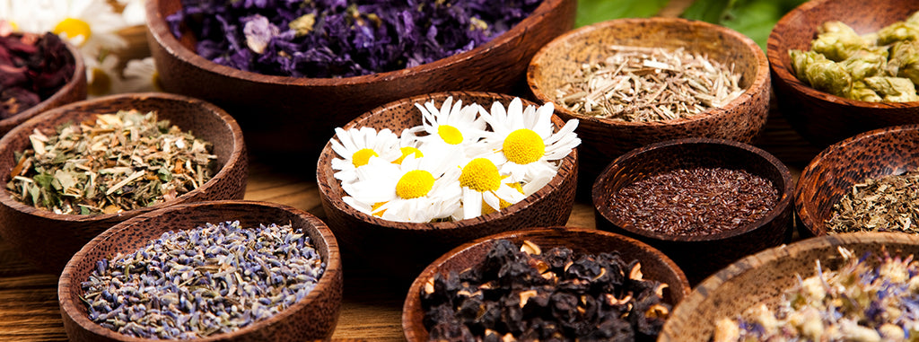 Types of Flowers With Medicinal Purposes and Healing Powers