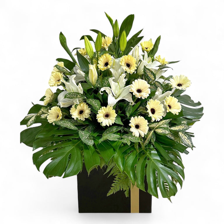 Deciding the Right Amount for Condolences Money 白金 for Funerals in 2024 ...